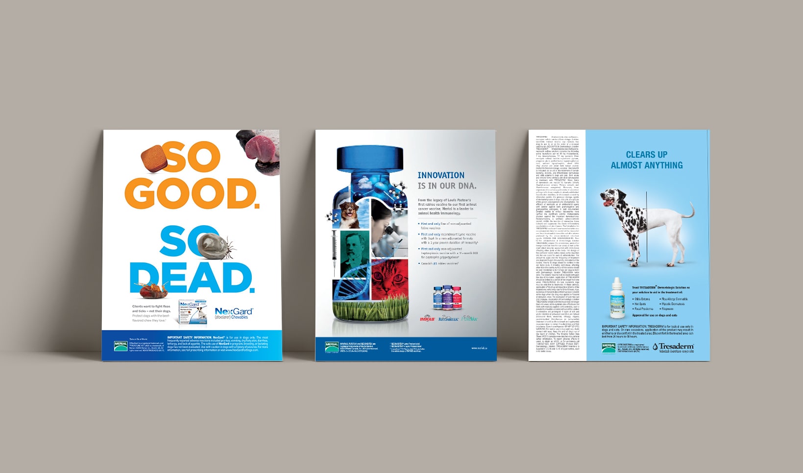 Pet Care Marketing | Shepherd | Advertising Agency